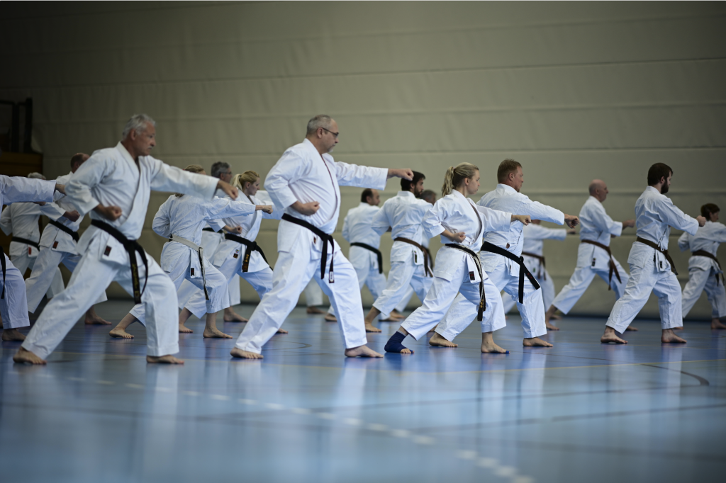 Karate-Benefizlehrgang in Herrsching – Trainieren für einen guten Zweck ...